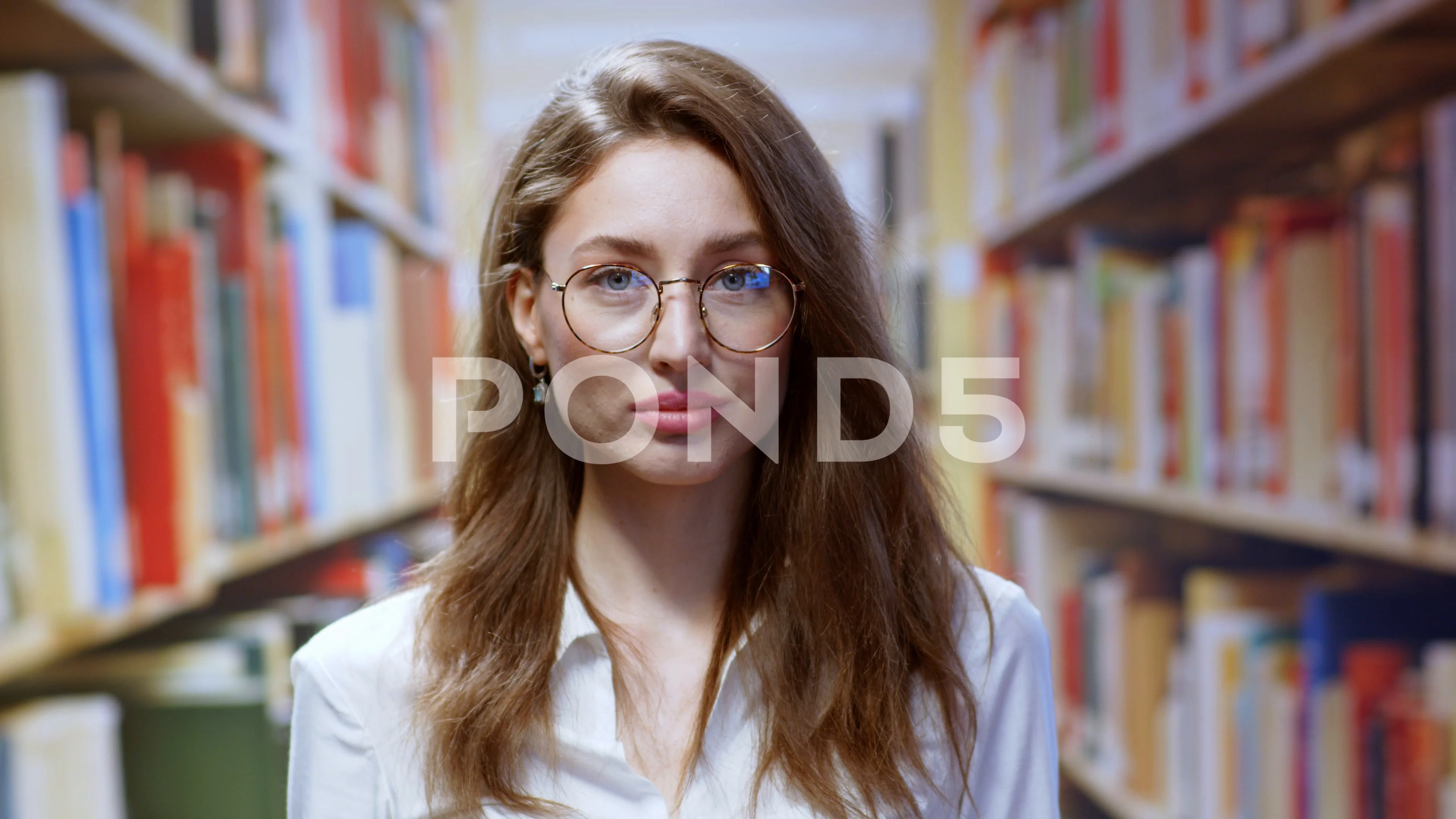 Librarian