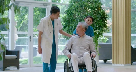 Young Chinese P Stock Videos – Royalty-Free HD & 4K Videos