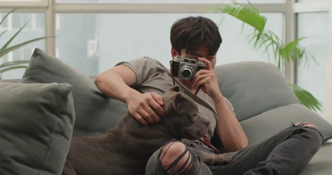 Dog Day Pictures Stock Videos – Royalty-Free HD & 4K Videos