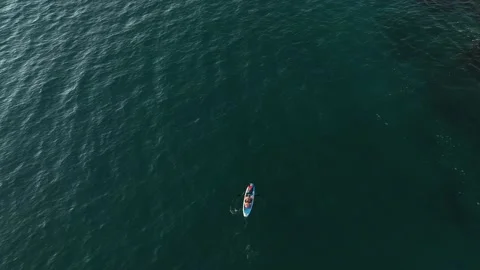 Young couple sup surfer floating on turq... | Stock Video | Pond5