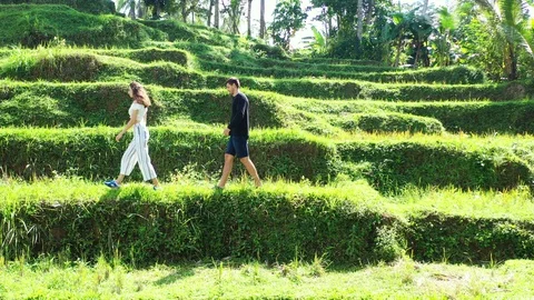 Young couple walking on rice terraces of... | Stock Video | Pond5