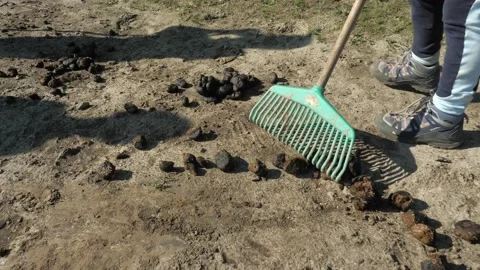 Kid Poop Stock Videos – Royalty-Free HD & 4K Videos