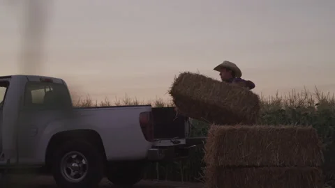 Young Farmer Throwing Large Bails of Hay... | Stock Video | Pond5