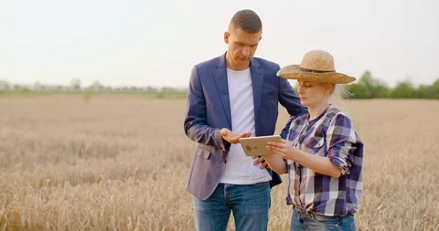 Young Farmers Discussing At Wheat Field | Stock Video | Pond5