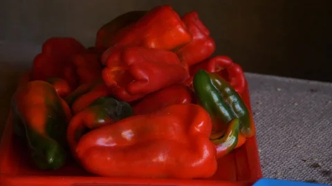 Young female cook in skeleton costume an... | Stock Video | Pond5