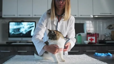 Listen For Sounds Stock Videos – Royalty-Free HD & 4K Videos | Pond5