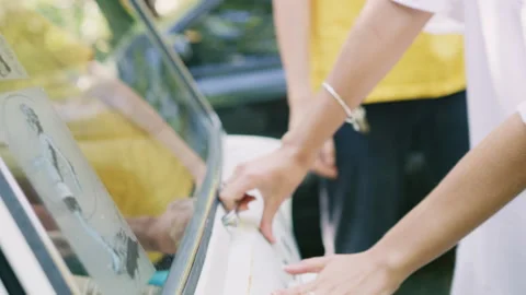 Open Back L Stock Videos – Royalty-Free HD & 4K Videos