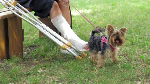 A young girl with a cast and a walker is... | Stock Video | Pond5