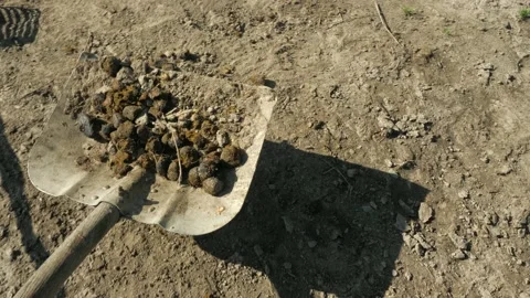 Girl Sxhitting Stock Videos – Royalty-Free HD & 4K Videos | Pond5