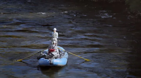 Young Girl Id Stock Videos – Royalty-Free HD & 4K Videos