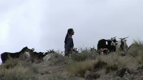 Girls In Argentina Stock Videos – Royalty-Free HD & 4K Videos | Page 3