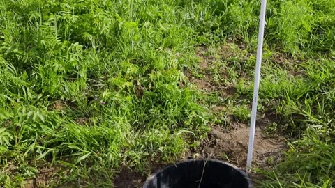 Foot Move Stock Videos – Royalty-Free HD & 4K Videos