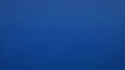 Underwater Movie Deep Stock Videos – Royalty-Free HD & 4K Videos | Page 5