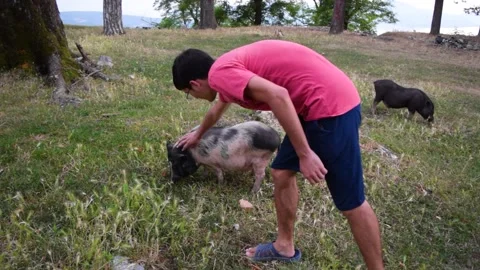 Young guy with pleasure strokes a dwarf ... | Stock Video | Pond5