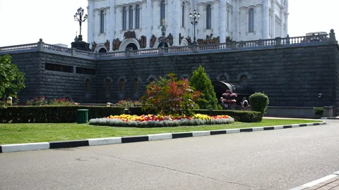 Phone Guy Picture Stock Videos – Royalty-Free HD & 4K Videos