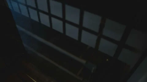 Young happy woman riding elevator with g... | Stock Video | Pond5