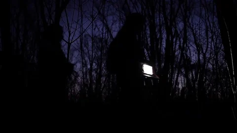 Flashlight Forest Stock Video Footage | Royalty Free Flashlight Forest ...