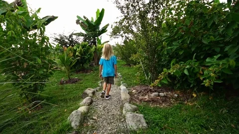 young kid boy walk on path in nature hav... | Stock Video | Pond5