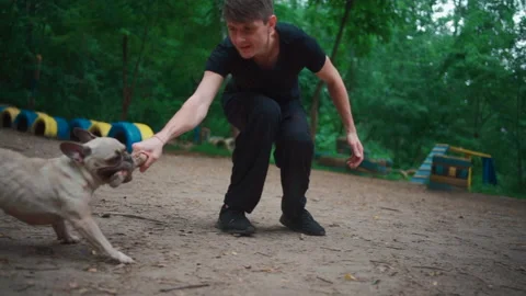 French Male Young Stock Videos – Royalty-Free HD & 4K Videos