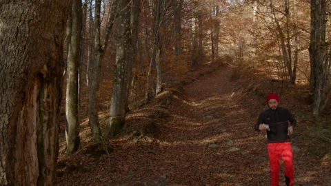 Get Picture Of Stock Videos – Royalty-Free HD & 4K Videos