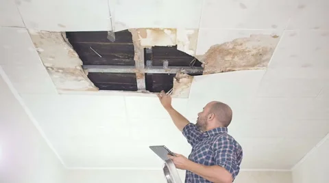 Ceiling Inspection Stock Videos – Royalty-Free HD & 4K Videos