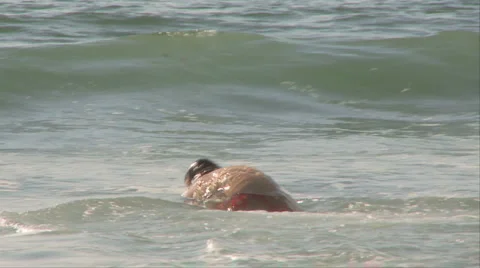 Young man running out of ocean waves at ... | Stock Video | Pond5