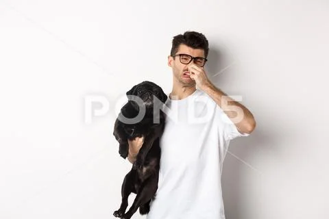 Young man shut nose as holding pug, disgusted with bad smell fart of ...