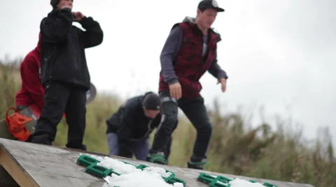 Slide In Snowboard Stock Videos – Royalty-Free HD & 4K Videos