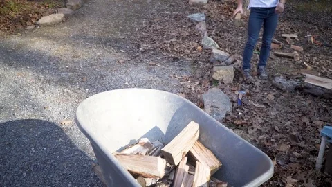 Young man throwing split wood into a whe... | Stock Video | Pond5
