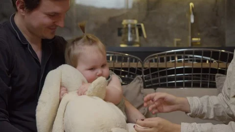 Parets The Animal Stock Videos – Royalty-Free HD & 4K Videos