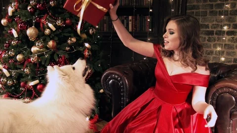 Holiday Girl Tease Stock Videos – Royalty-Free HD & 4K Videos