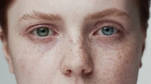 Different Samera Shots Stock Videos – Royalty-Free HD & 4K Videos | Page 3