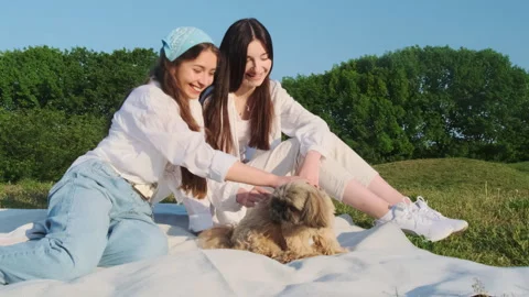 Sister and Pat Stock Videos – Royalty-Free HD & 4K Videos