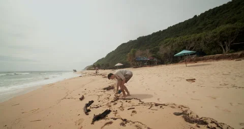 White Trash T Stock Videos – Royalty-Free HD & 4K Videos | Pond5