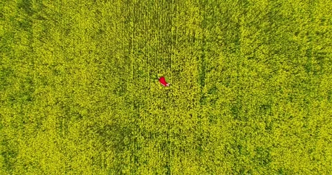 Young woman in flowing beautiful red dre... | Stock Video | Pond5