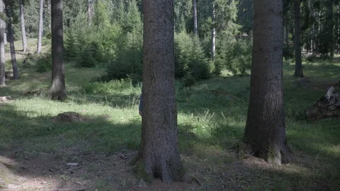 Young woman in forest standing beyond a ... | Stock Video | Pond5