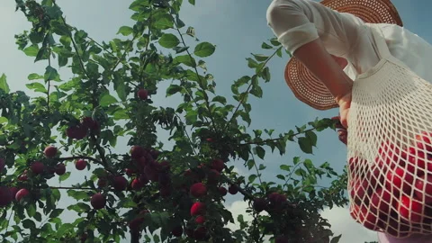 Stringing Her On\ Stock Video Footage | Royalty Free Stringing Her On ...