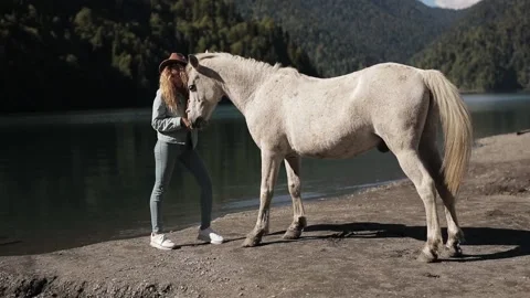 Coast Met Stock Videos – Royalty-Free HD & 4K Videos