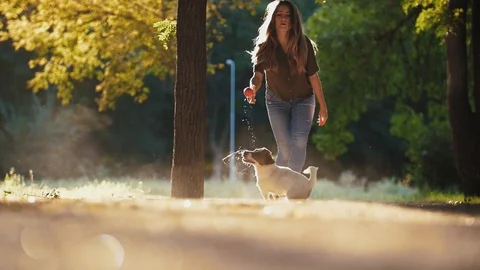 Woman Playing Jacks Stock Videos – Royalty-Free HD & 4K Videos