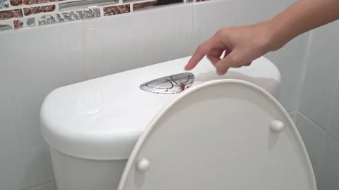 Toilet With Arm Stock Videos – Royalty-Free HD & 4K Videos | Page 3