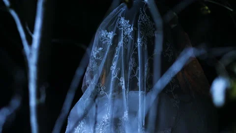 The young woman with skeleton make-up fo... | Stock Video | Pond5