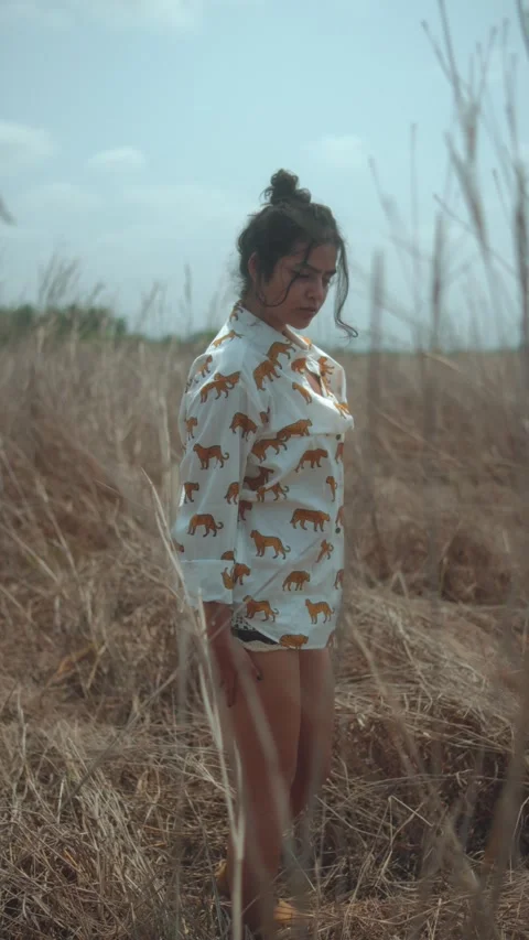 Tiger Pritn Stock Videos – Royalty-Free HD & 4K Videos