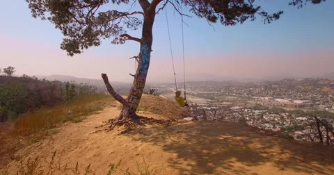 Woman Tree No Stock Videos – Royalty-Free HD & 4K Videos | Page 2