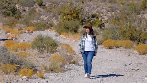 Woman Mountain Western Stock Videos – Royalty-Free HD & 4K Videos | Page 5