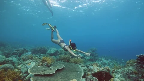 Woman Wih In Stock Videos – Royalty-Free HD & 4K Videos