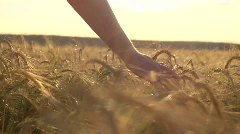 Girl Running Through Field Stock Video Footage | Royalty Free Girl ...