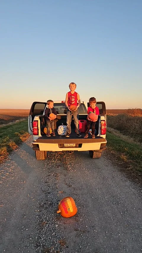 Smahing Pumpkins Stock Videos – Royalty-Free HD & 4K Videos