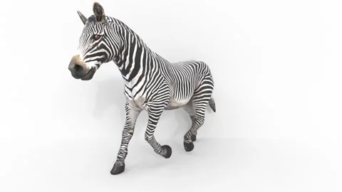 zebra animal 3d animation | Stock Video | Pond5