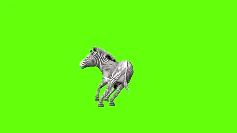Zebra death green screen animation 3D re... | Stock Video | Pond5