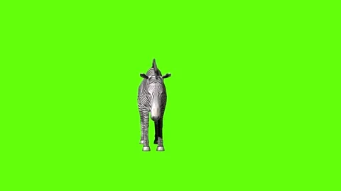 Zebra get hit green screen animation 3D ... | Stock Video | Pond5